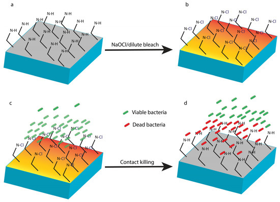 Antimicrobial Coatings: Reviewing Options for Healthcare Applications