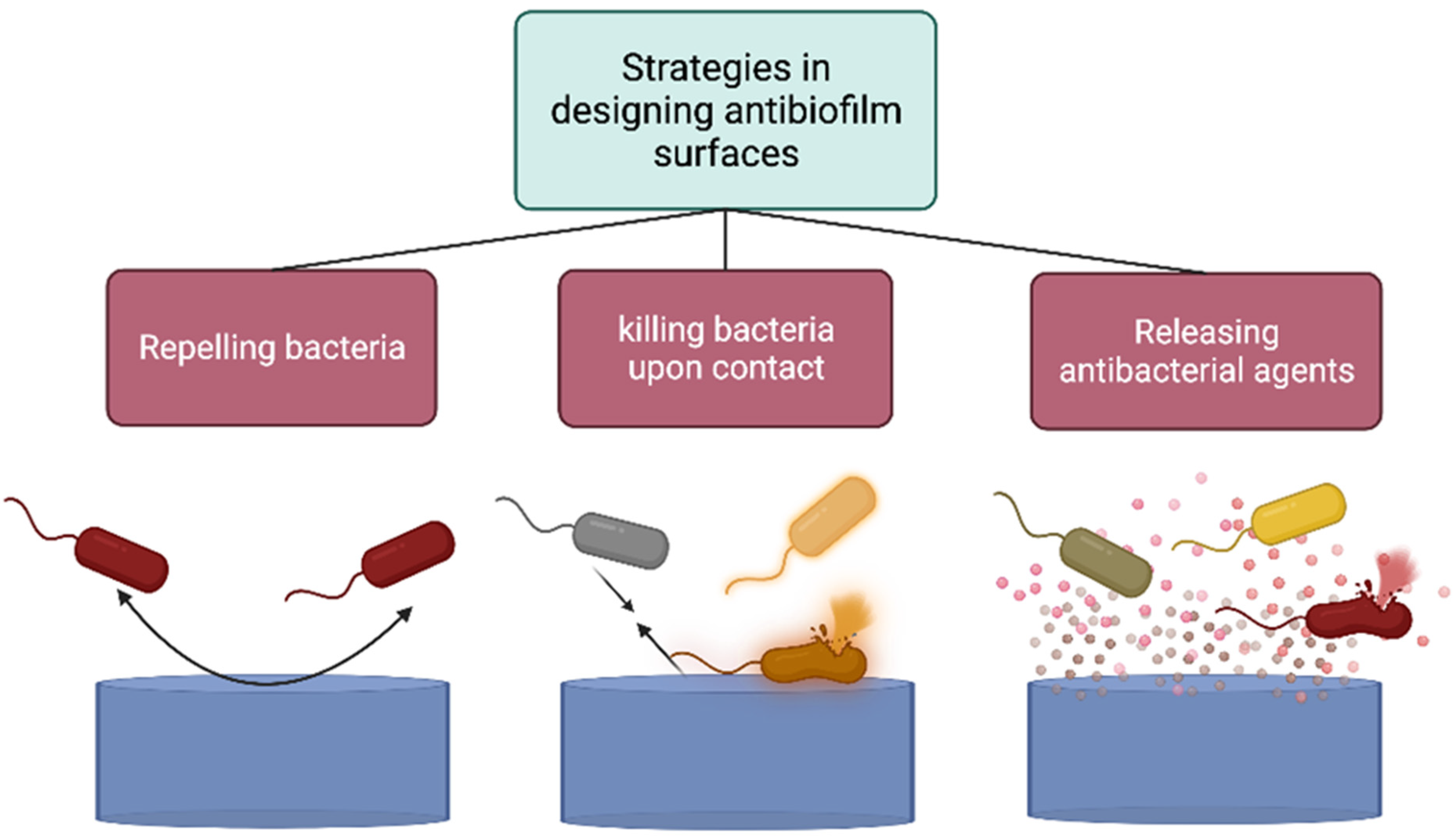 Biofilm Formation, and Related Impacts on Healthcare, Food Processing and Packaging, Industrial ...