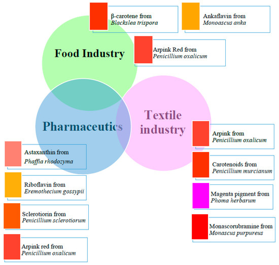 Fungal Pigments: Their Diversity, Chemistry, Food and Non-Food Applications