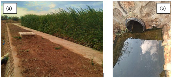 Antibiotic Resistance Patterns of Escherichia coli, Klebsiella ...