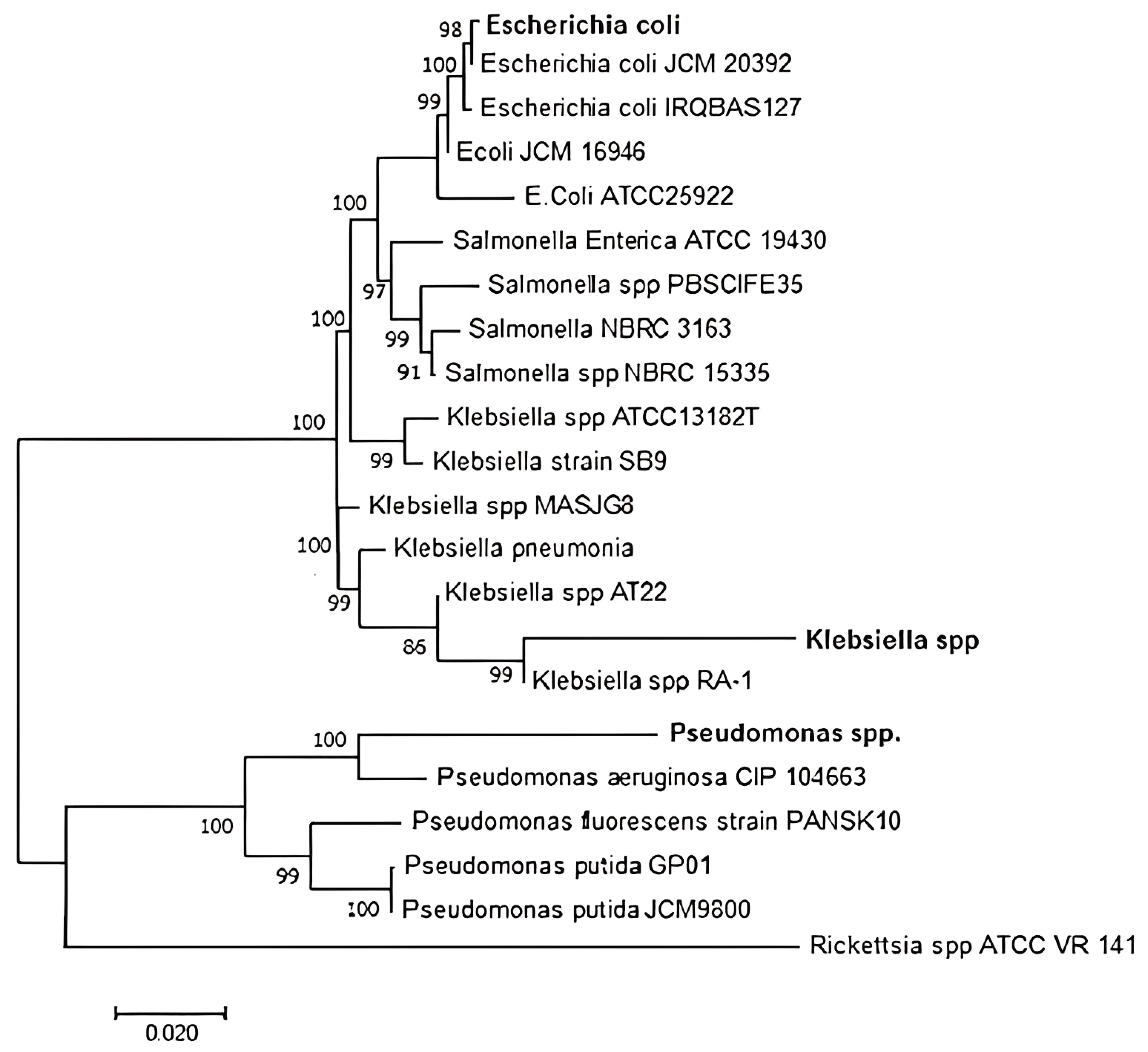 Applied Microbiology | Free Full-Text | Antibiotic Resistance Patterns ...