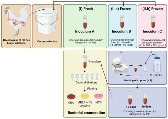 Development of a Chicken Gastrointestinal Tract (GIT) Simulation Model ...