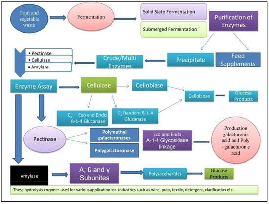 Microbial Multienzyme Viz., Pectinase, Cellulase and Amylase Production ...