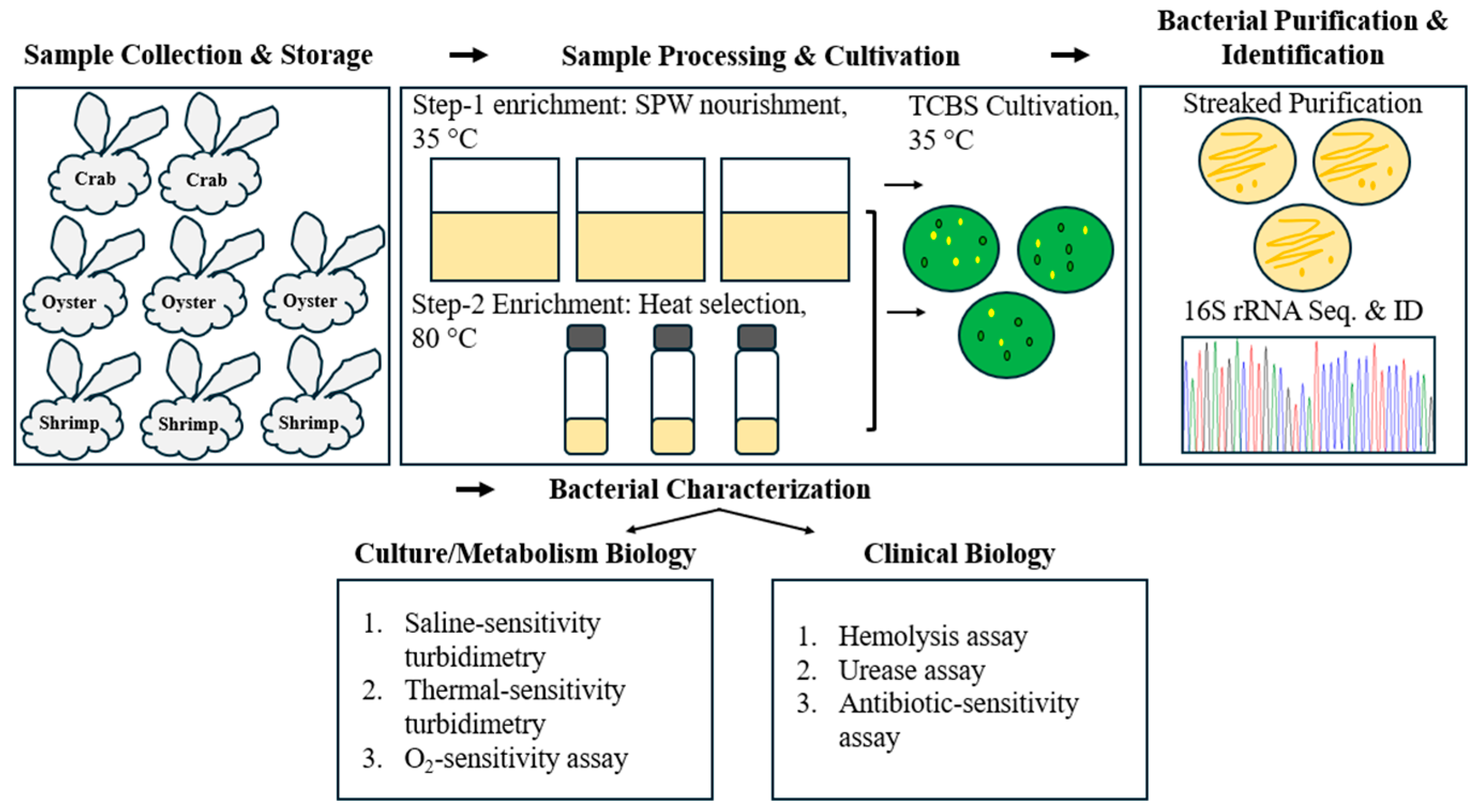 Recovery of Pasteurization-Resistant Vagococcus lutrae from Raw ...