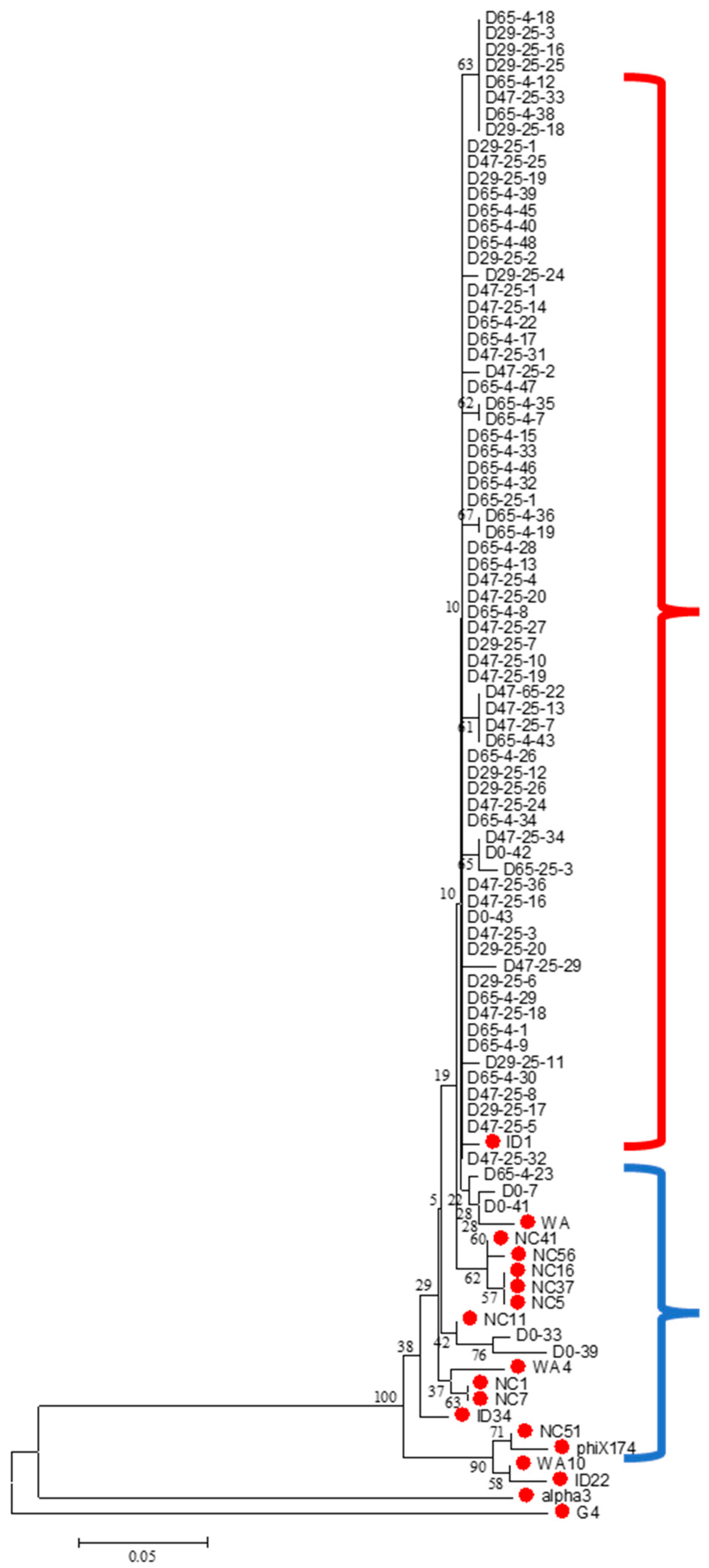 Molecular Typing of Somatic Coliphage Groups and Their Occurrence and ...