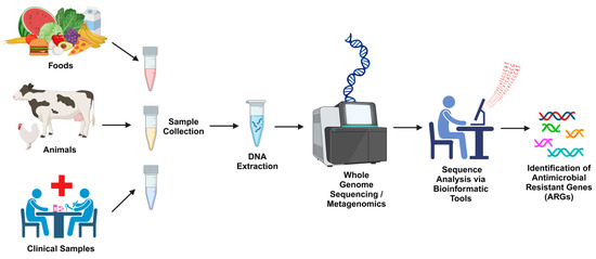 Resistome Mapping in Foodborne Pathogens: Understanding Role in the ...