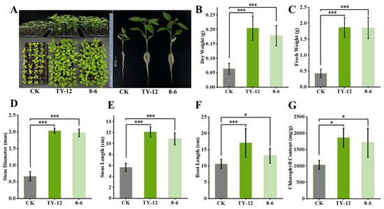 Purification and Identification of an Antimicrobial Protein from ...
