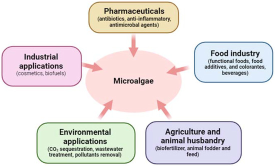Microalgae-Based Functional Foods: A Blue-Green Revolution in ...