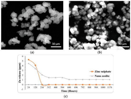 Zeolites as Carriers of Nano-Fertilizers: From Structures and ...
