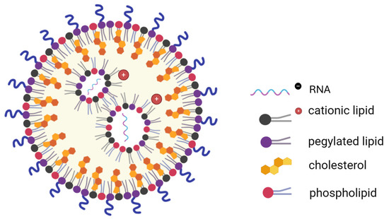 Nano-Encapsulation and Conjugation Applied in the Development of Lipid ...