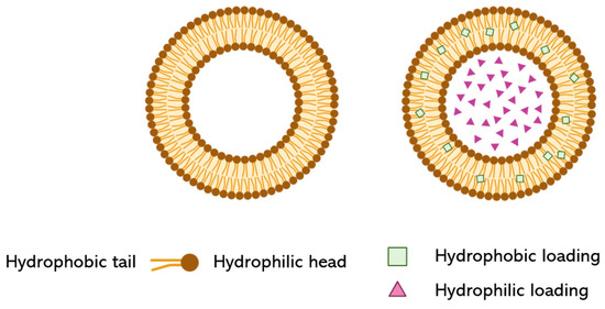 Nano-Encapsulation and Conjugation Applied in the Development of Lipid ...