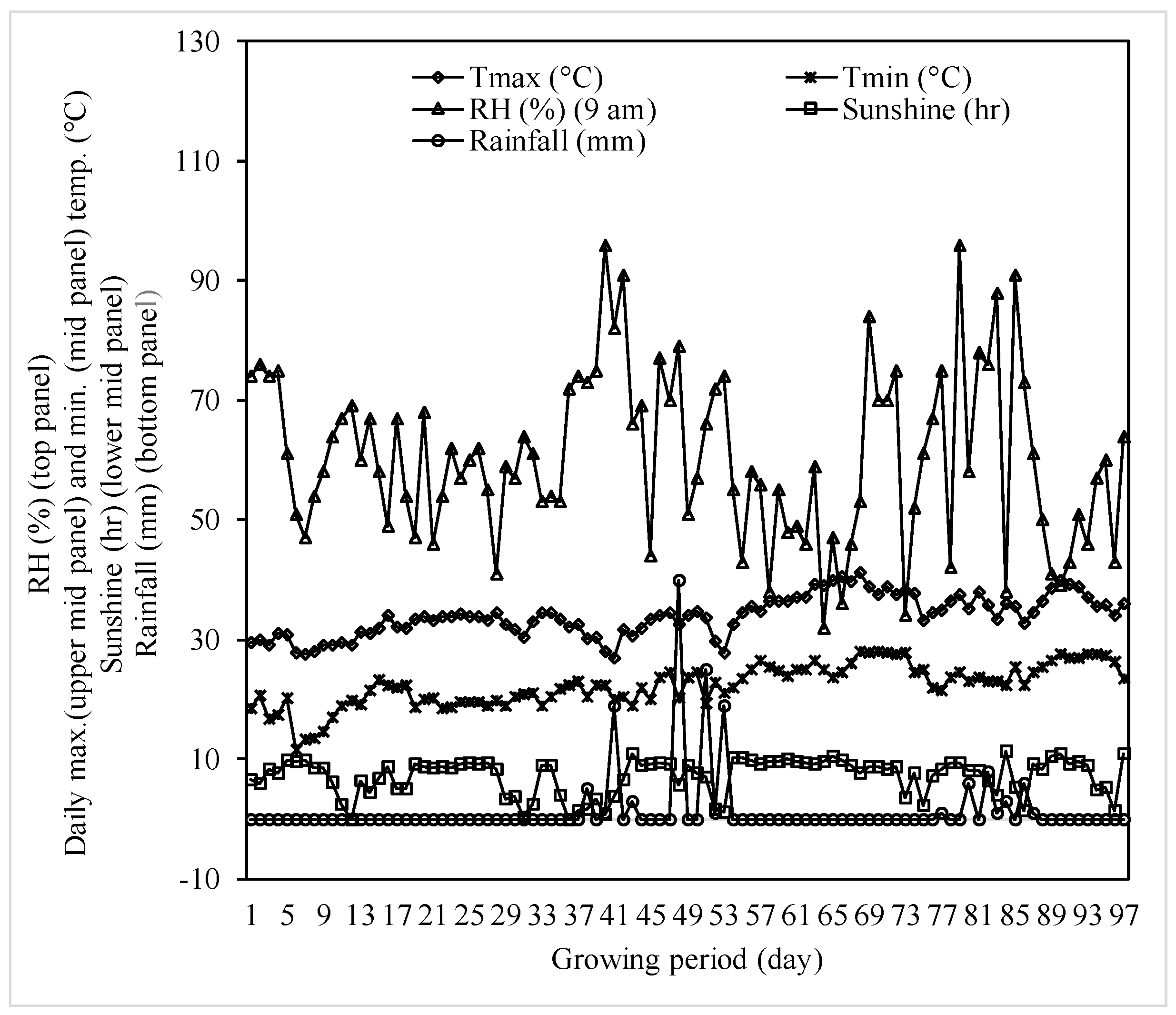 Exploring Shrimp-Derived Chitin Nanofiber as a Sustainable Alternative ...