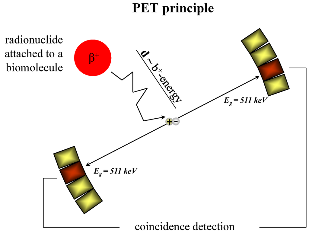 Silicon-[18F]Fluorine Radiochemistry: Basics, Applications and Challenges