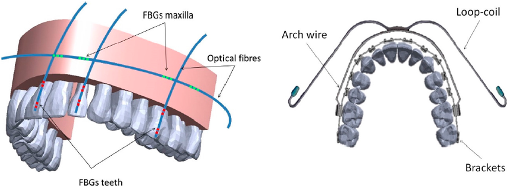 Labeled Form Mouth Indentristry