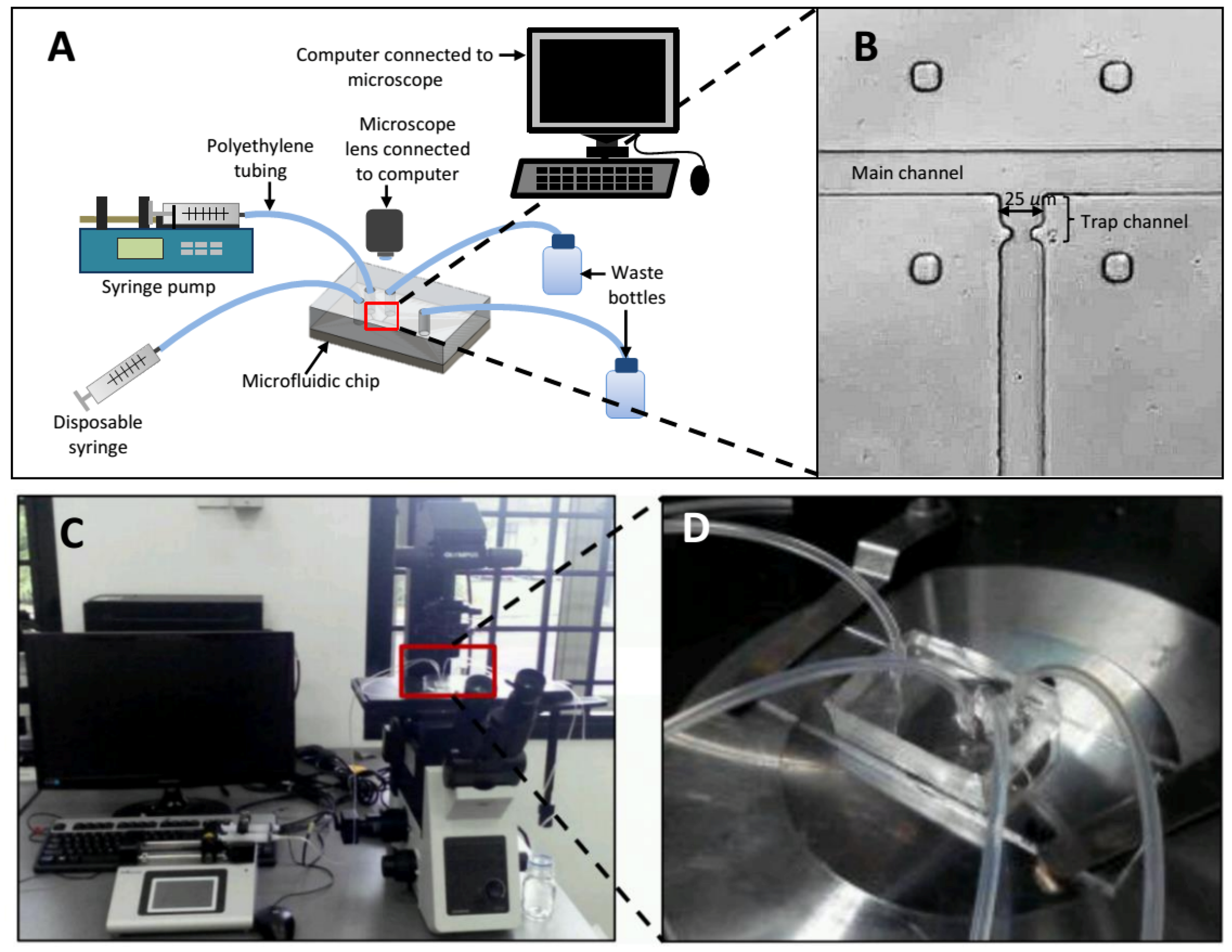 Applied Sciences | Free Full-Text | A Microfluidic Device for ... Applied Sciences | Free Full-Text | A Microfluidic Device for ...