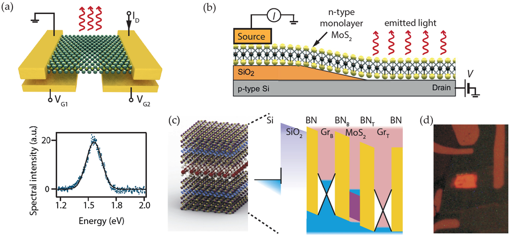 Optoelectronic Devices Based on Atomically Thin Transition Metal ...