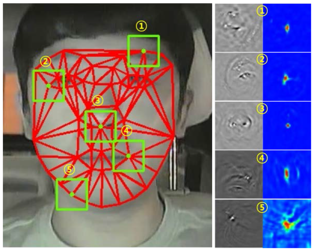 Tracking a Driver’s Face against Extreme Head Poses and Inference of ...