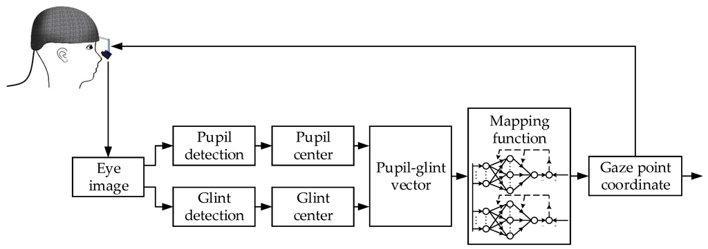 2D Gaze Estimation Based on Pupil-Glint Vector Using an Artificial Neural Network