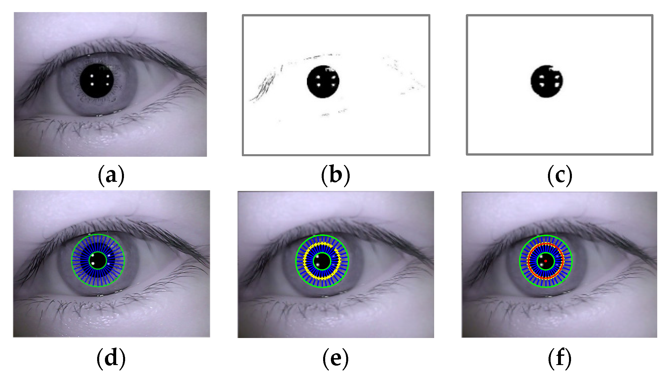 2D Gaze Estimation Based on Pupil-Glint Vector Using an Artificial ...