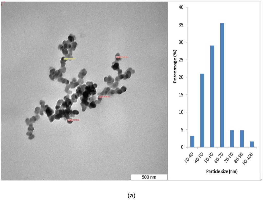 Evaluation of Antioxidant and Cytotoxicity Activities of Copper Ferrite ...