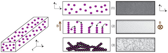 Applied Sciences | Special Issue : Applications of Complex Fluids