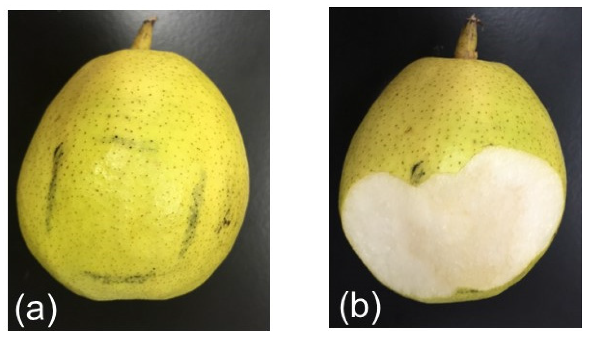 Wavelength Selection for Detection of Slight Bruises on Pears Based on ...