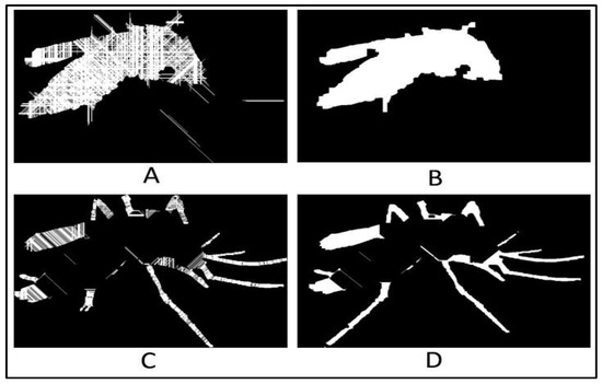 Vision-Based Perception and Classification of Mosquitoes Using Support ...