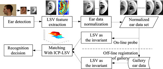 3D Ear Normalization and Recognition Based on Local Surface Variation