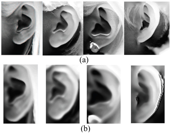 3D Ear Normalization and Recognition Based on Local Surface Variation