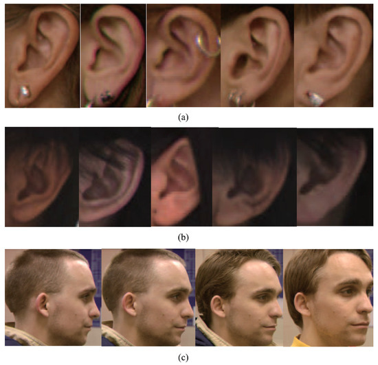 3D Ear Normalization and Recognition Based on Local Surface Variation