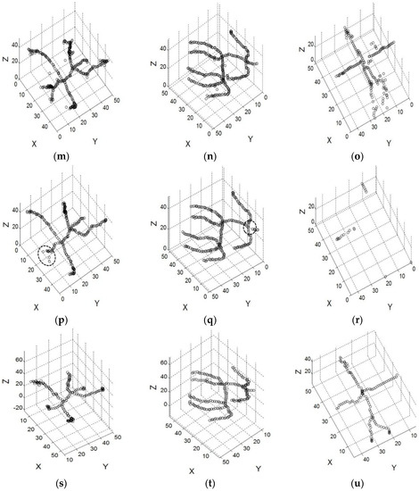 A 3D Skeletonization Algorithm for 3D Mesh Models Using a Partial ...