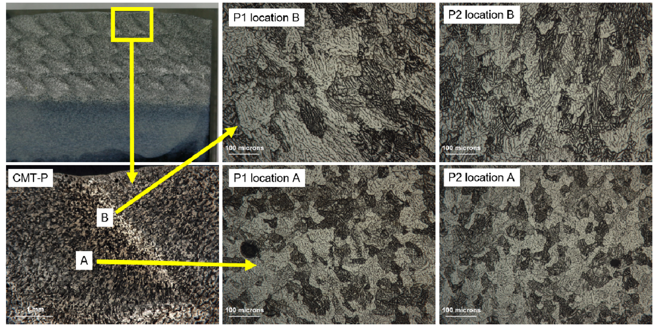 A Comparative Study of Additively Manufactured Thin Wall and Block ...