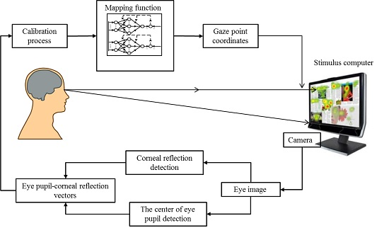 Applied Sciences | Free Full-Text | Design of a Binocular Pupil and ...