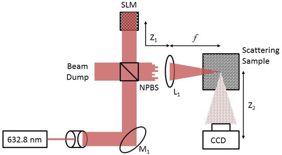 Measuring the Reflection Matrix of a Rough Surface