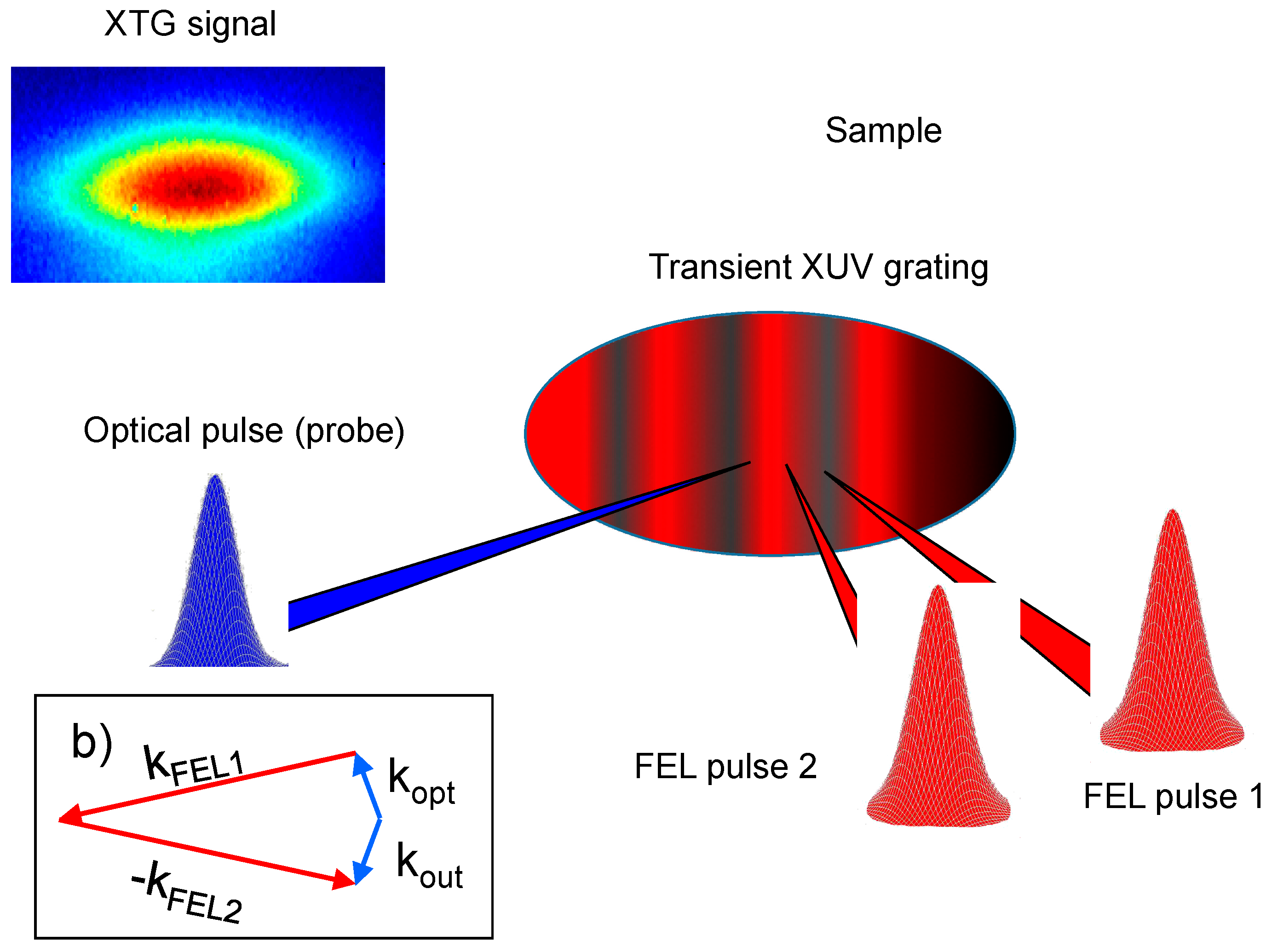 Applied Sciences | Special Issue : X-Ray Free-Electron Laser