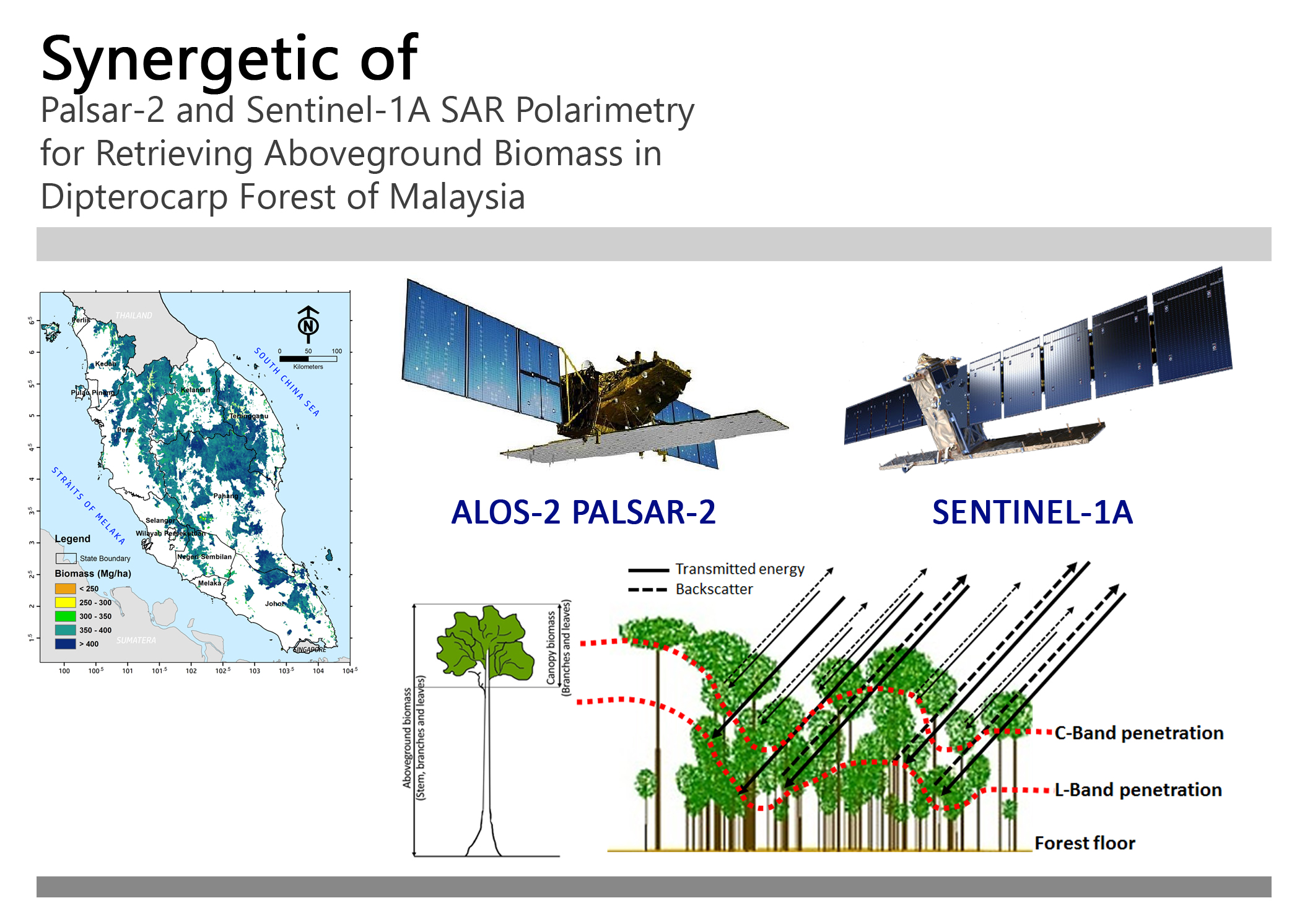 Applied Sciences | Free Full-Text | Synergetic of PALSAR-2 and Sentinel-1A SAR Polarimetry for ...