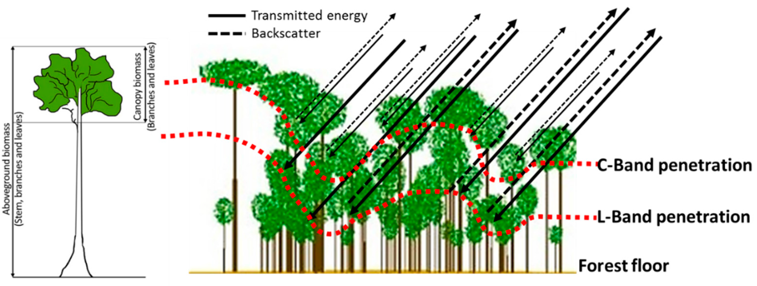 Synergetic of PALSAR-2 and Sentinel-1A SAR Polarimetry for Retrieving ...