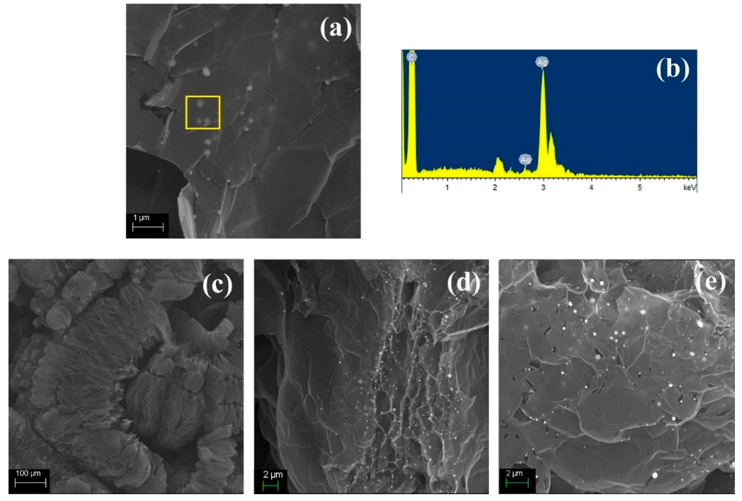 Silver Nanoparticles-Loaded Exfoliated Graphite and Its Anti-Bacterial ...