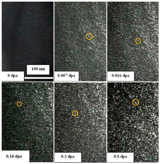 Irradiation Induced Defect Clustering in Zircaloy-2