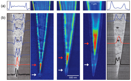 A Review of Three-Dimensional Scanning Near-Field Optical Microscopy ...