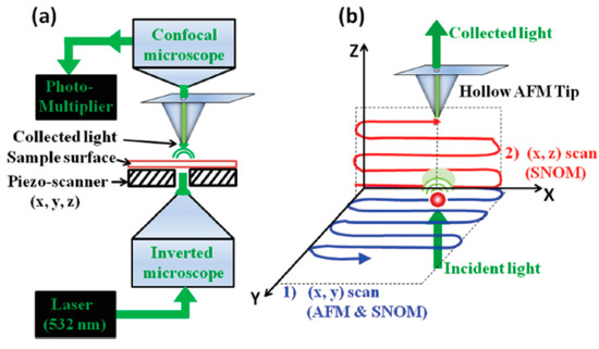 A Review of Three-Dimensional Scanning Near-Field Optical Microscopy ...