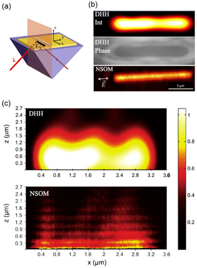 A Review of Three-Dimensional Scanning Near-Field Optical Microscopy ...