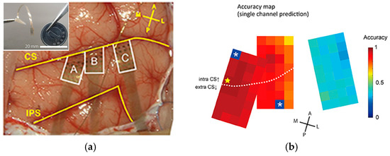 Flexible and Organic Neural Interfaces: A Review