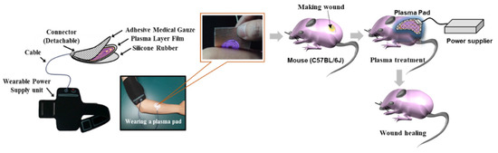 Wearable Plasma Pads for Biomedical Applications