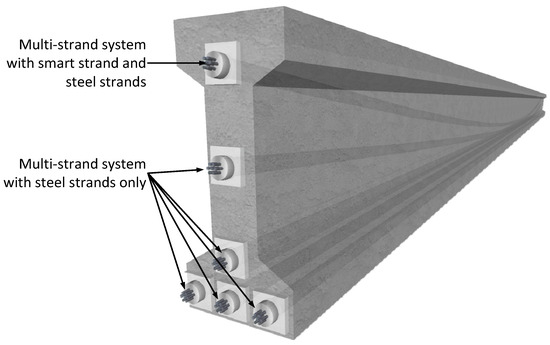 Estimation of Tendon Force Distribution in Prestressed Concrete Girders Using Smart Strand