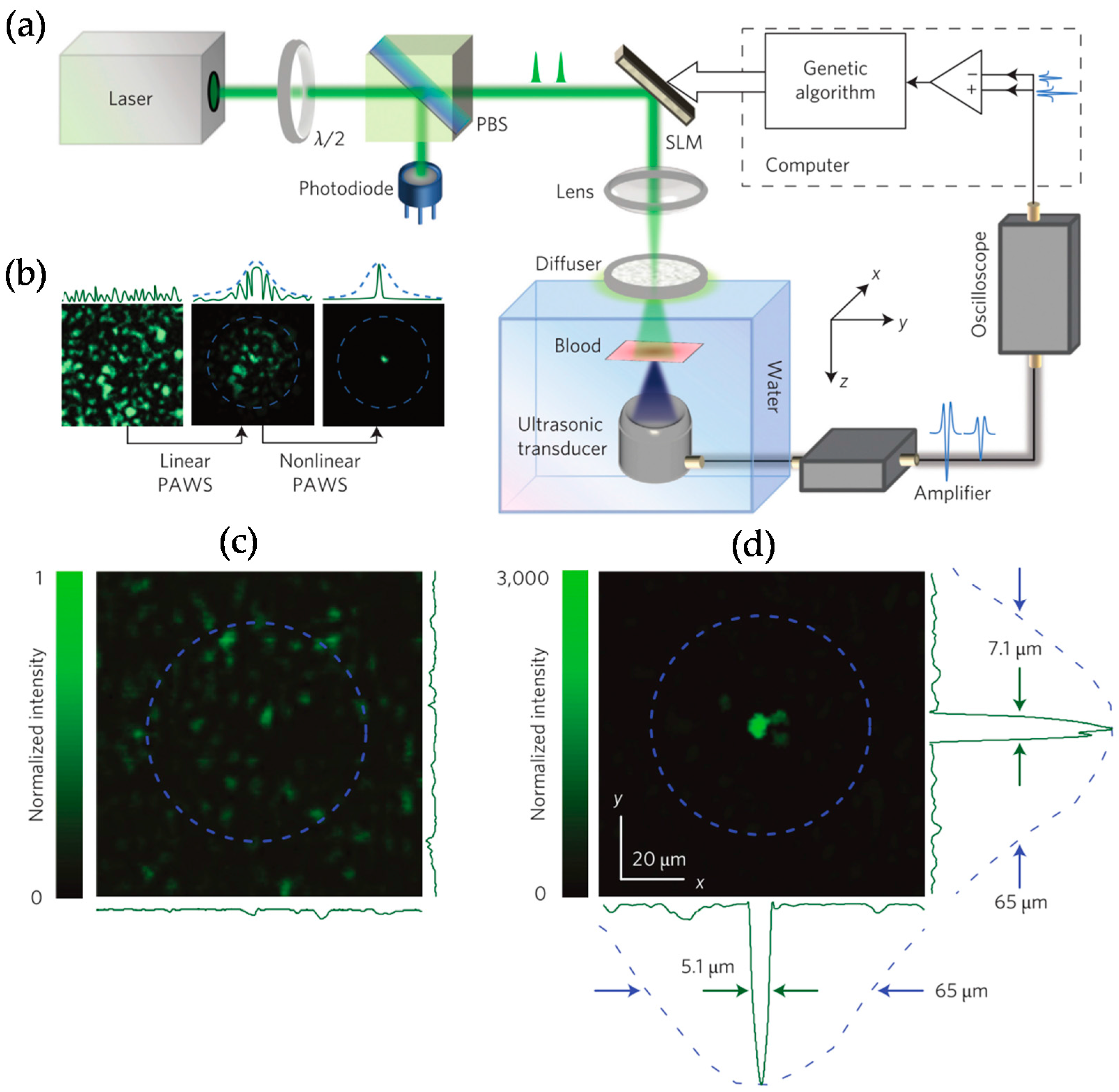 Wavefront Shaping and Its Application to Enhance Photoacoustic Imaging