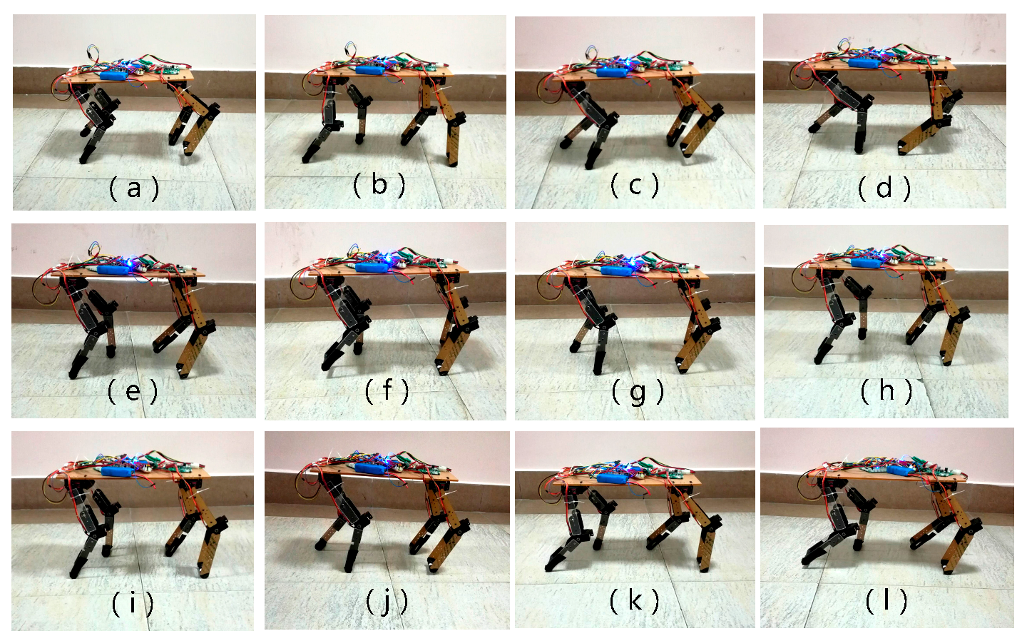 A Bio-Inspired Control Strategy for Locomotion of a Quadruped Robot