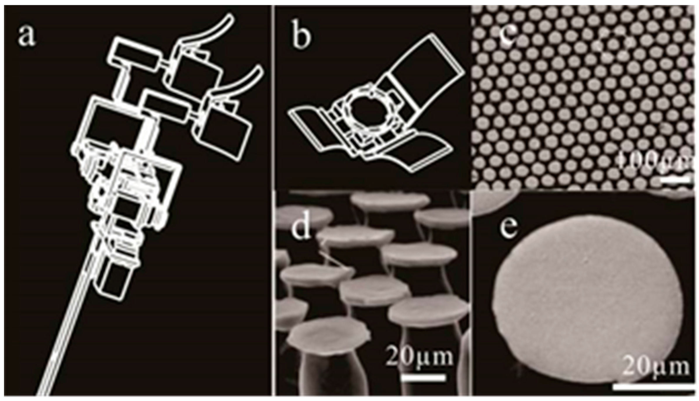 Bio-Inspired Adhesive Footpad for Legged Robot Climbing under Reduced ...