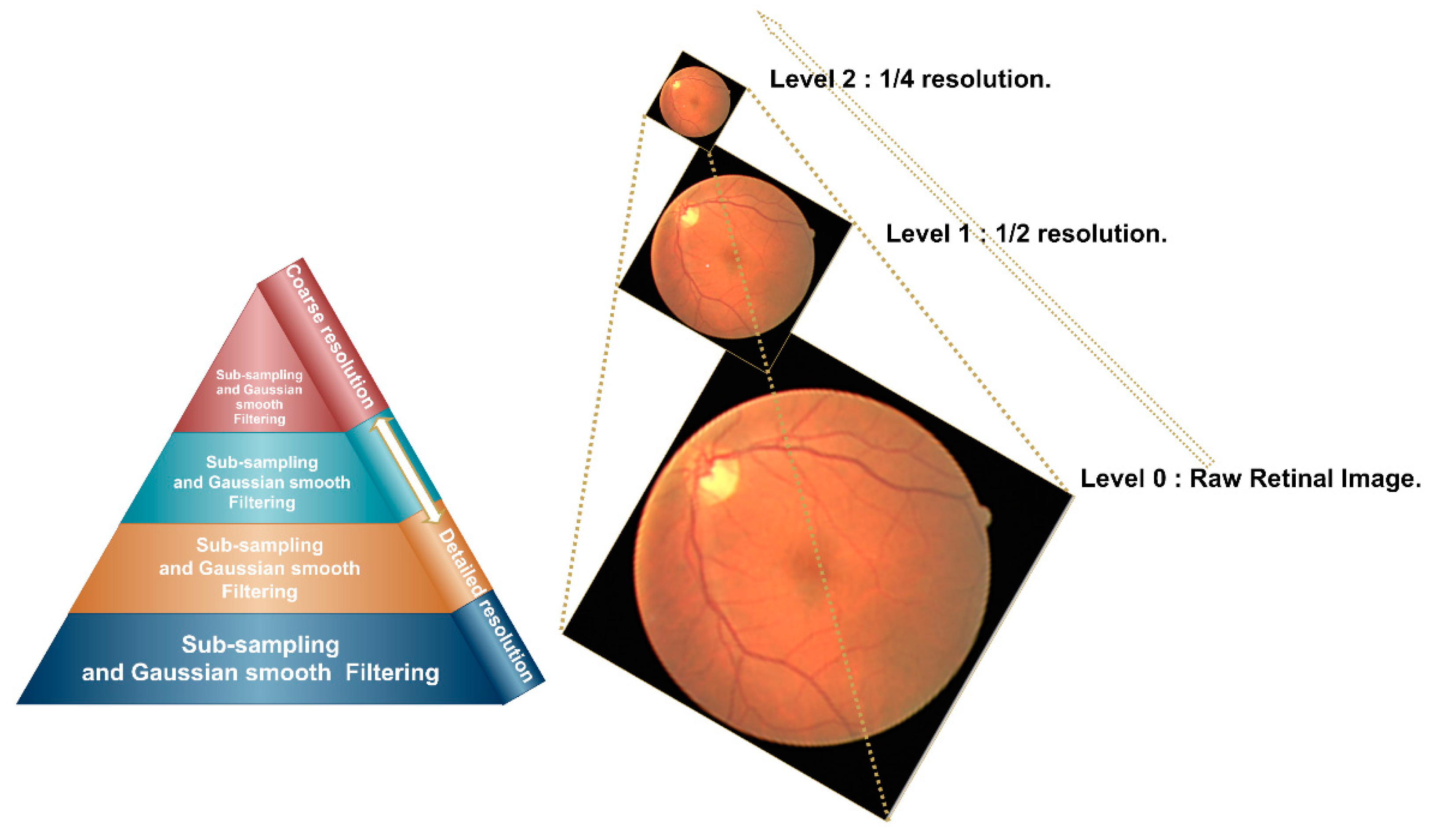 Retinal Vessels Segmentation Techniques and Algorithms: A Survey