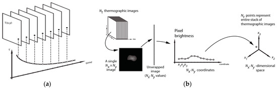 Extraction of Independent Structural Images for Principal Component ...